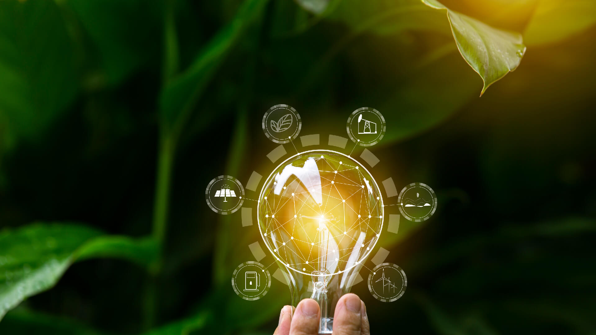 Hexaware Leverages Dynamics 365 to Help Enva Drive Rapid CRM Transformation | Hexaware