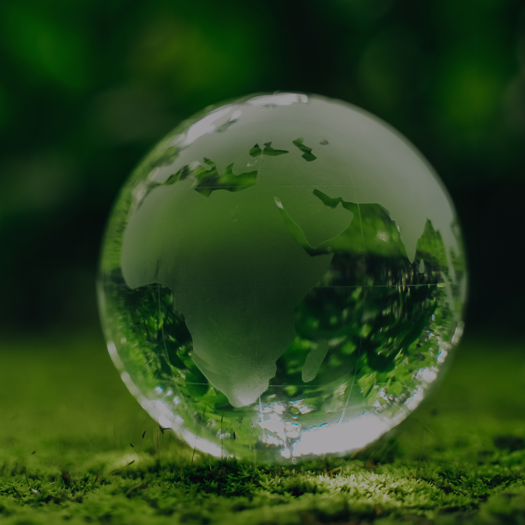 About Us - hexaware