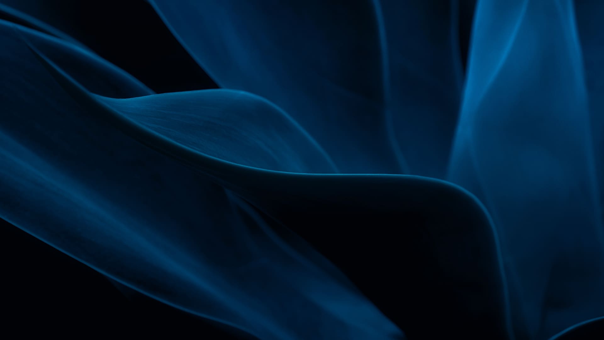 Application Services - Hexaware